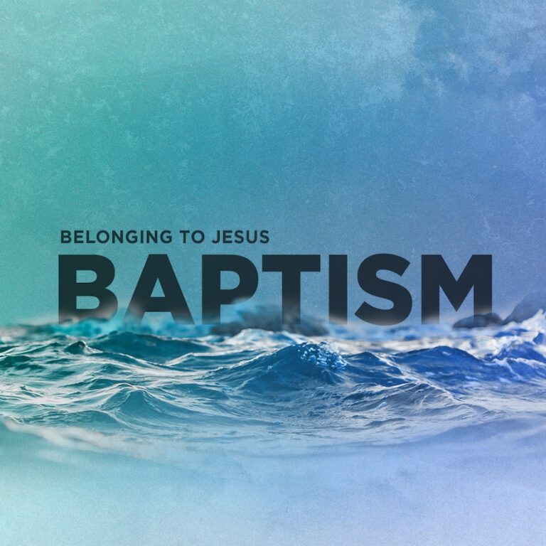 New Life Fellowship in Elmhurst – Find Community | Be Deeply Formed ...